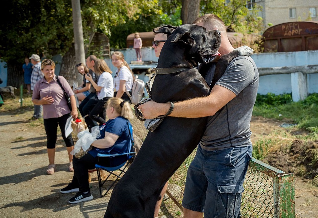 Dresaj canin in Moldova
